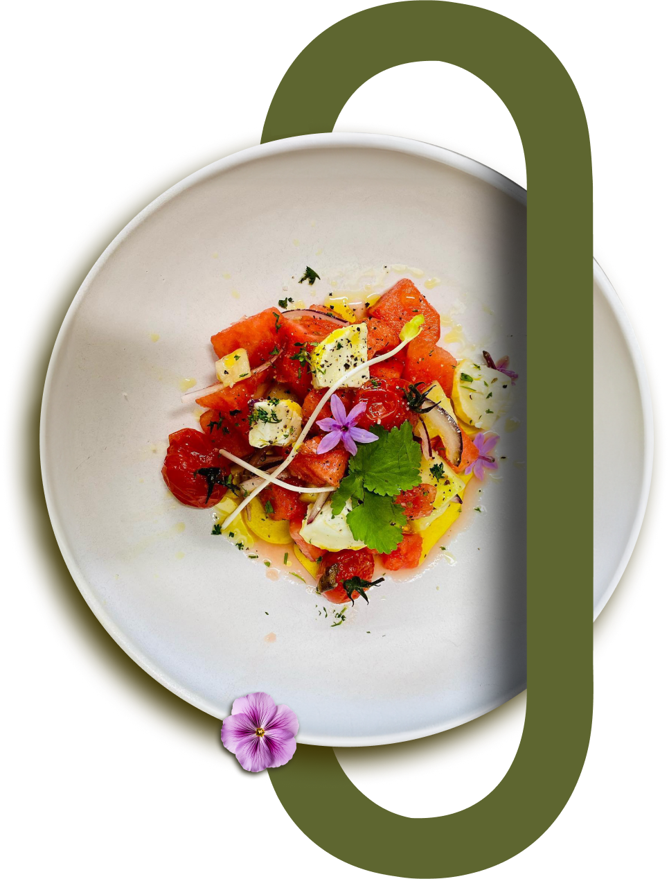 Le restaurant - Le Coq - Le Bignon